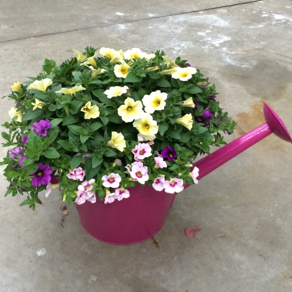 Planter Combinations Combination - Planters from Meadowridge, Inc.