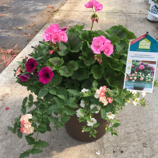 Planter Combinations Combination - Planters from Meadowridge, Inc.